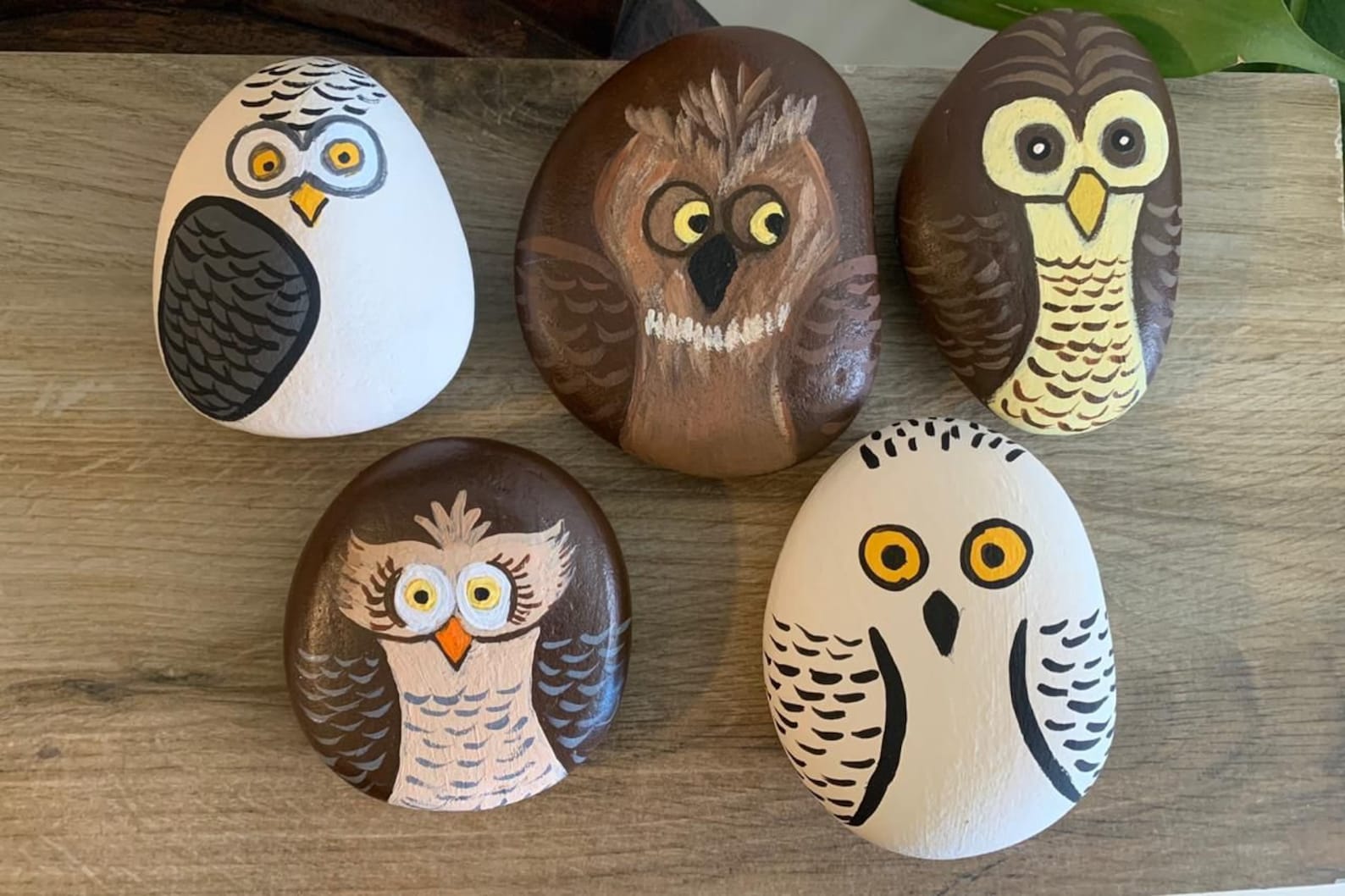Pebble Art OWLS - Etsy