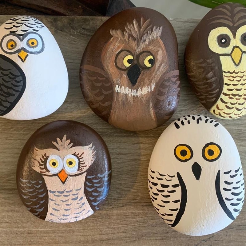 Painted Owl Rocks - Etsy