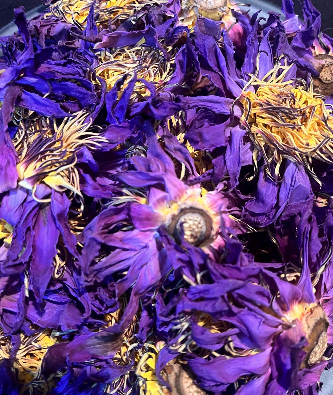 Dried Blue Lotus Whole | Nymphaea Caerulea | Dried Flowers | Dried ...