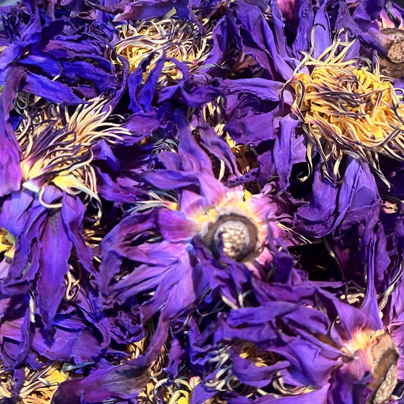 Blue Dried Flowers - Etsy