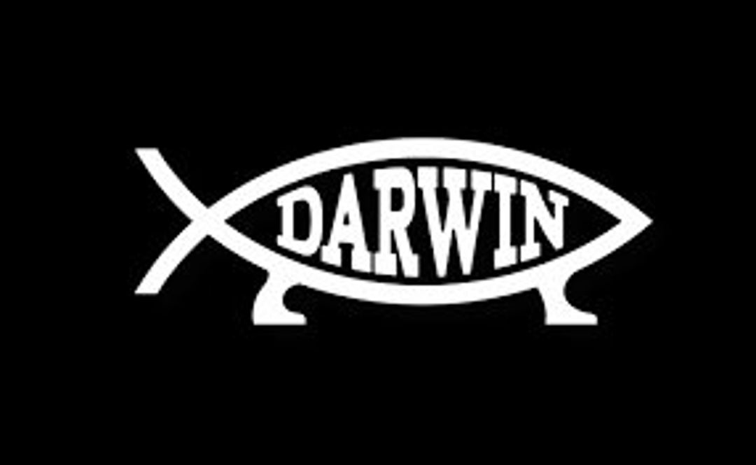 Darwin Fish Vinyl Decal Sticker Car Truck Vehicle Bumper - Etsy