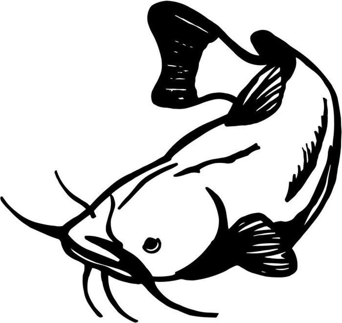 Wildlife_catfish - Vinyl Decal Sticker - Wall Decor Motorcycle Car ...