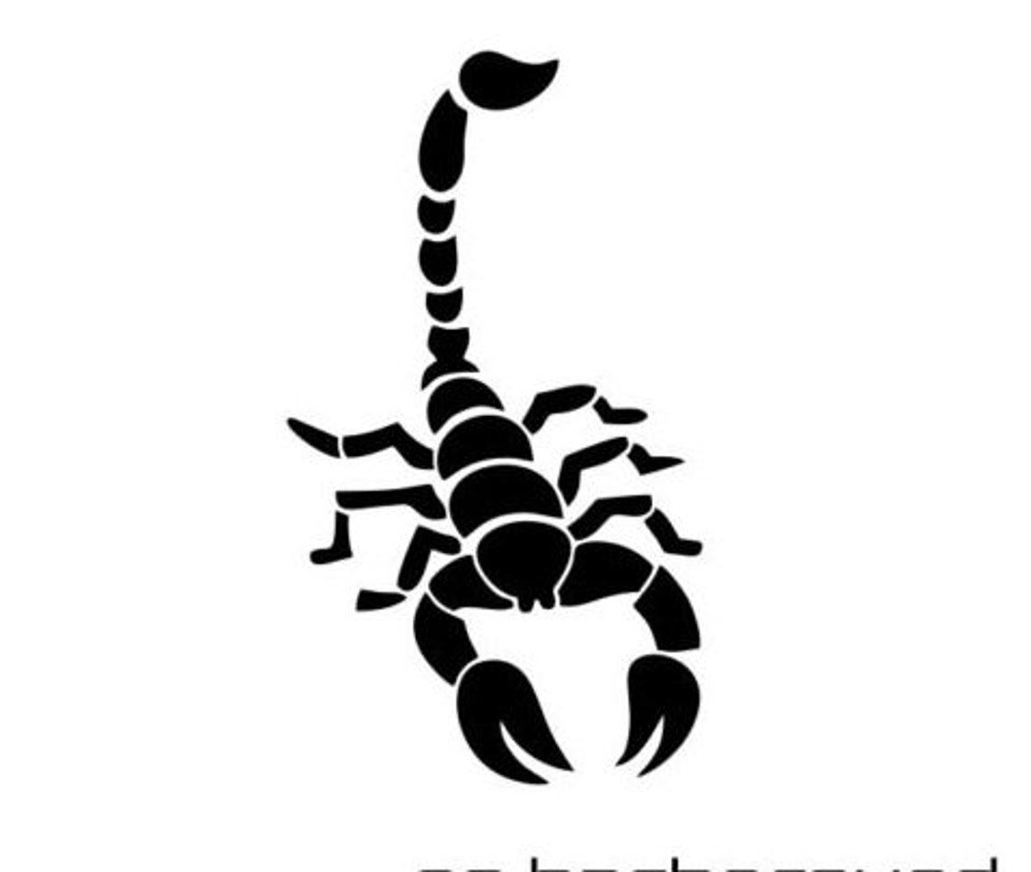 Scorpion Vinyl Decal Sticker Car Truck Vehicle Bumper Window | Etsy