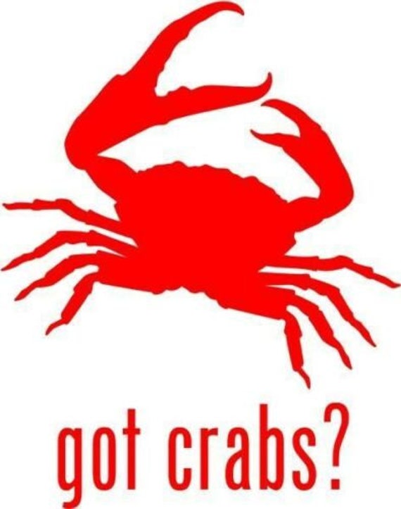 Got Crabs Shellfish Car Window Decor Vinyl Decal Sticker - Etsy