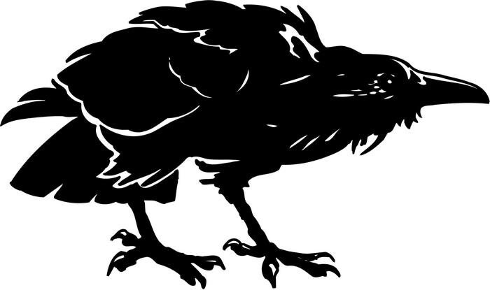 Wildlife_raven - Vinyl Decal Sticker - Wall Decor Motorcycle Car Truck ...