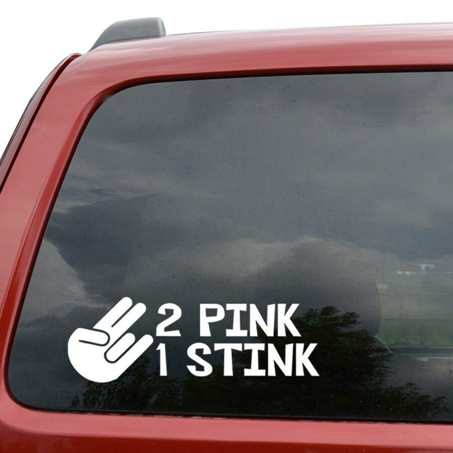 2 Pink 1 Stink JDM Vinyl Decal Sticker Car Window Truck Decor - Etsy