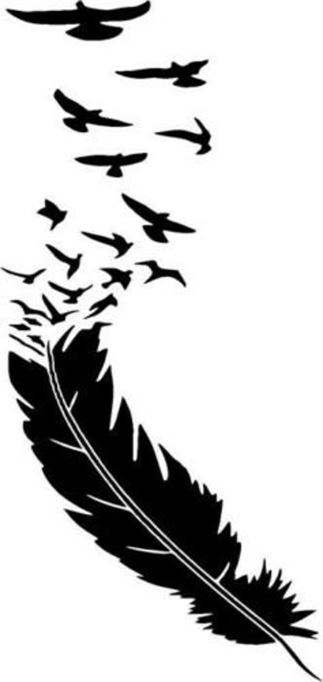 Feather Birds Decal Sticker Car Truck Window - Etsy