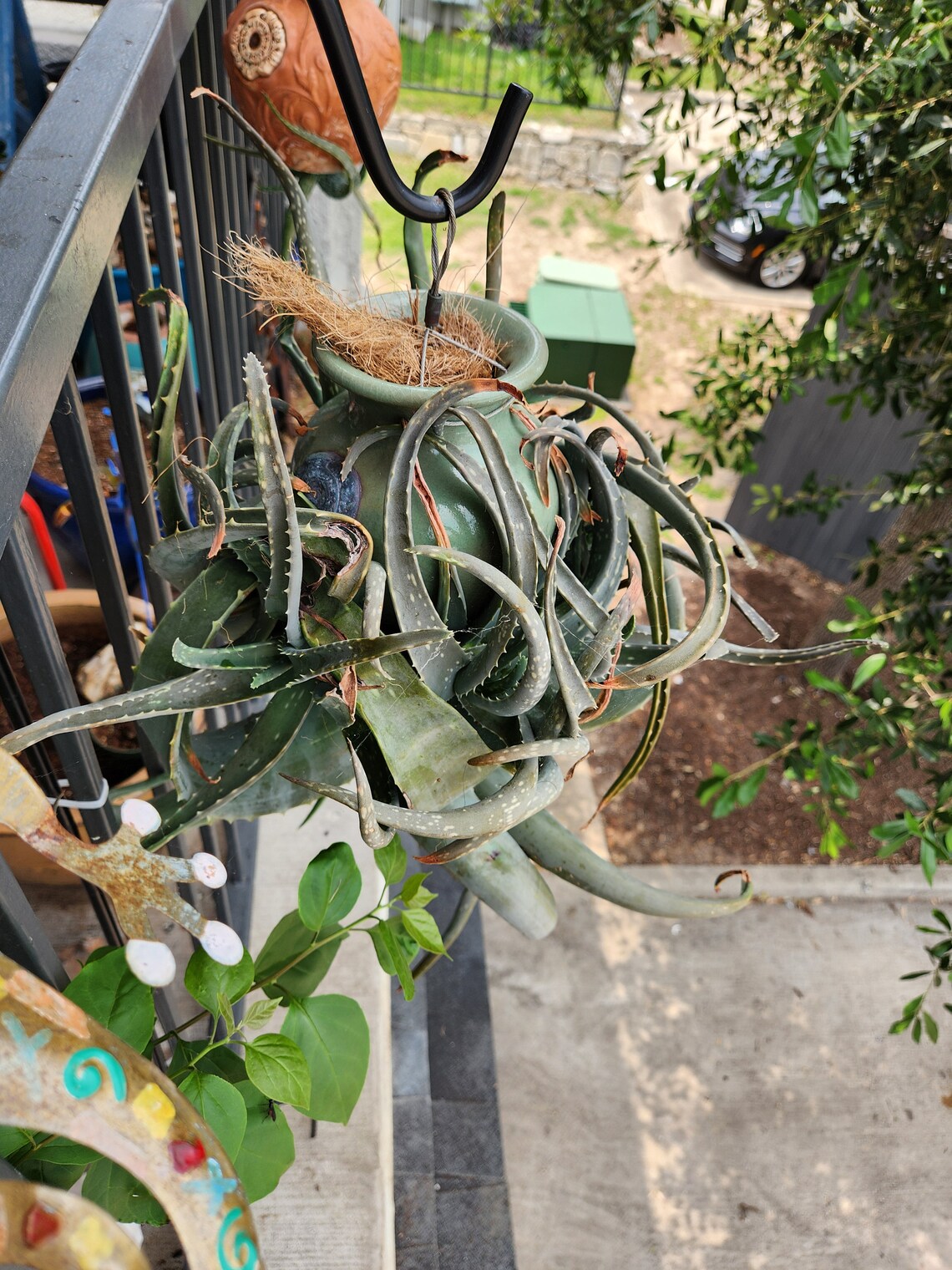 Down Under Pot Size D 7h - Etsy