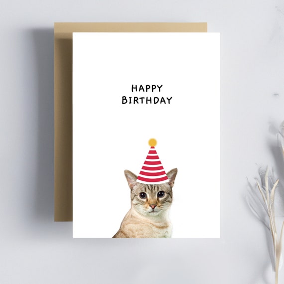 Happy 30th Birthday Cat Meme