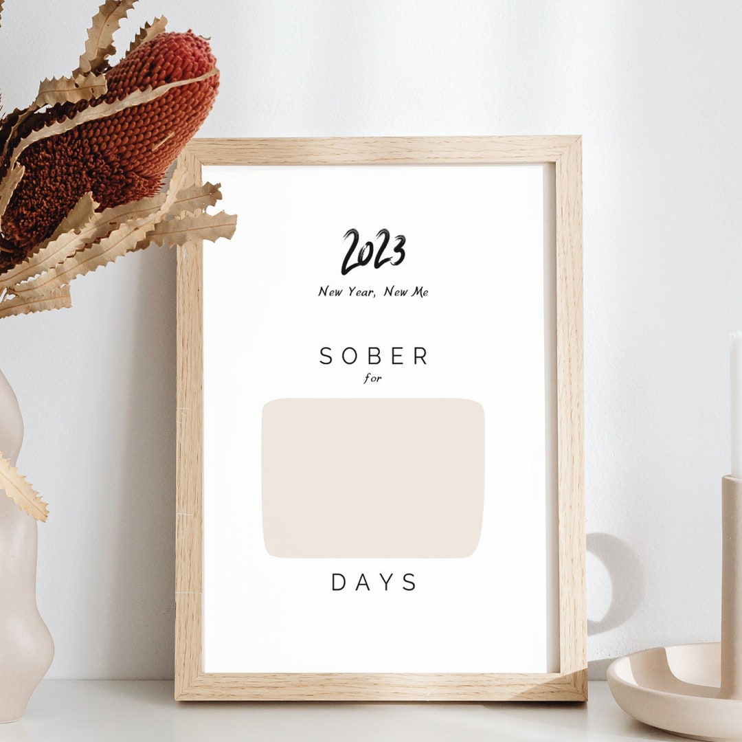 2023 Habit Tracker Sheet Sobriety T For Women Sobriety Ts Sober