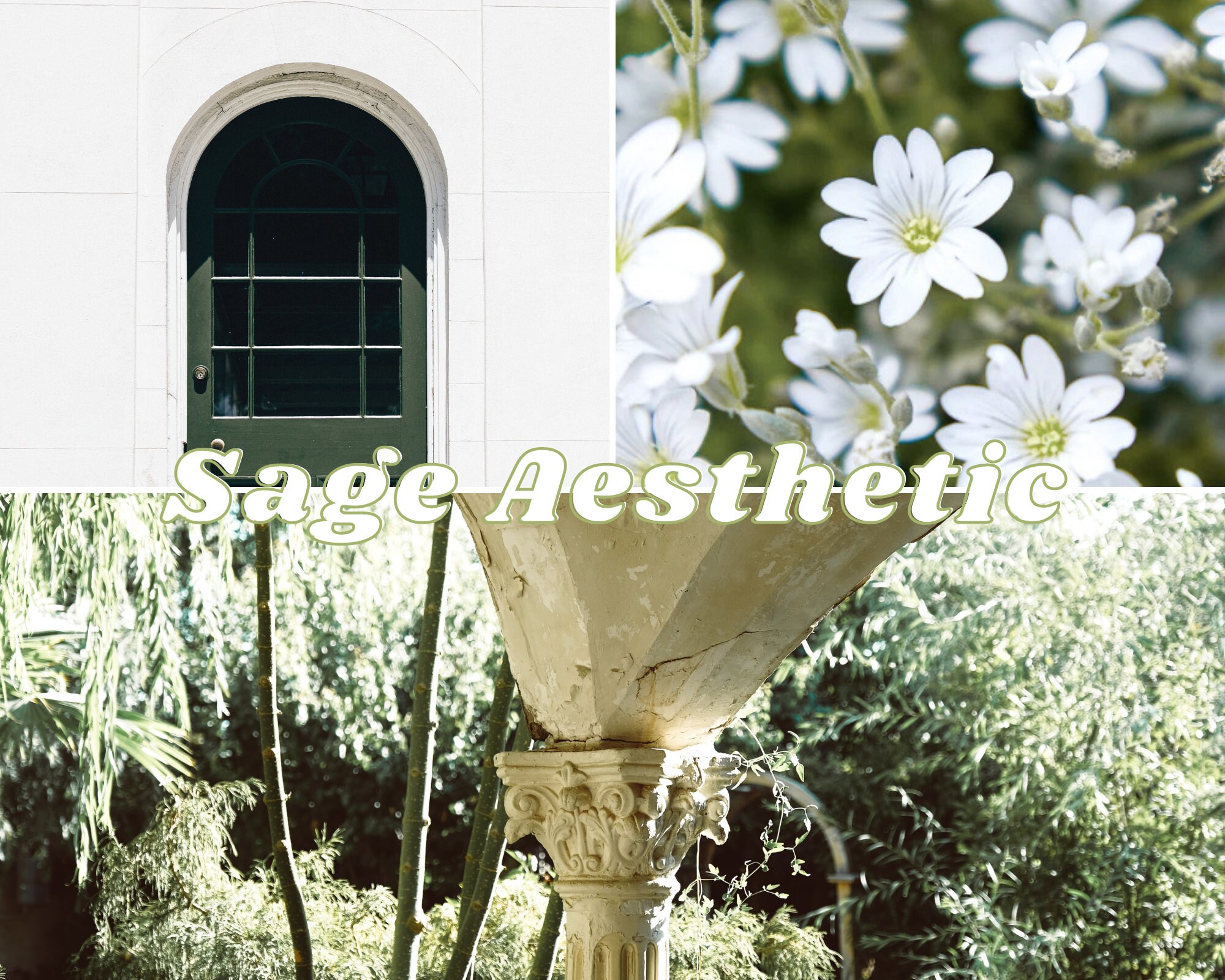 SAGE AESTHETIC by Planned Presets (sage Aesthetic, Mint Green Preset ...