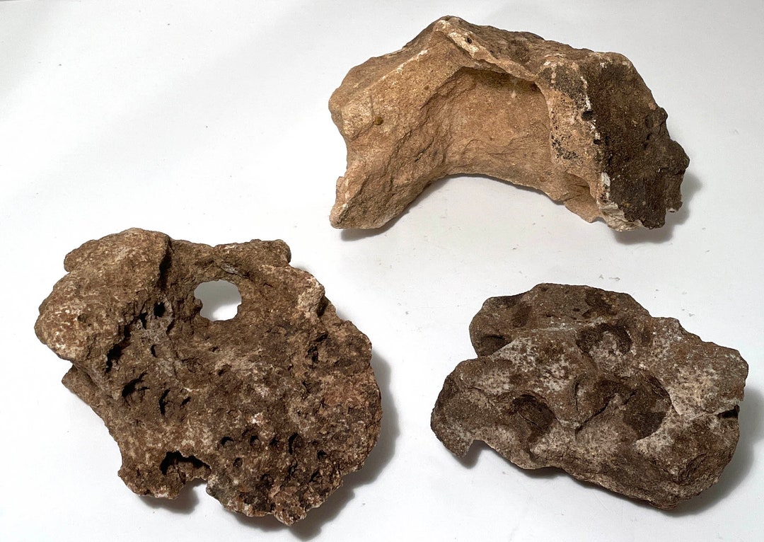 Rocks for Aquarium Aquascaping or Bonsai Forest - 3 Rocks With Pockets ...