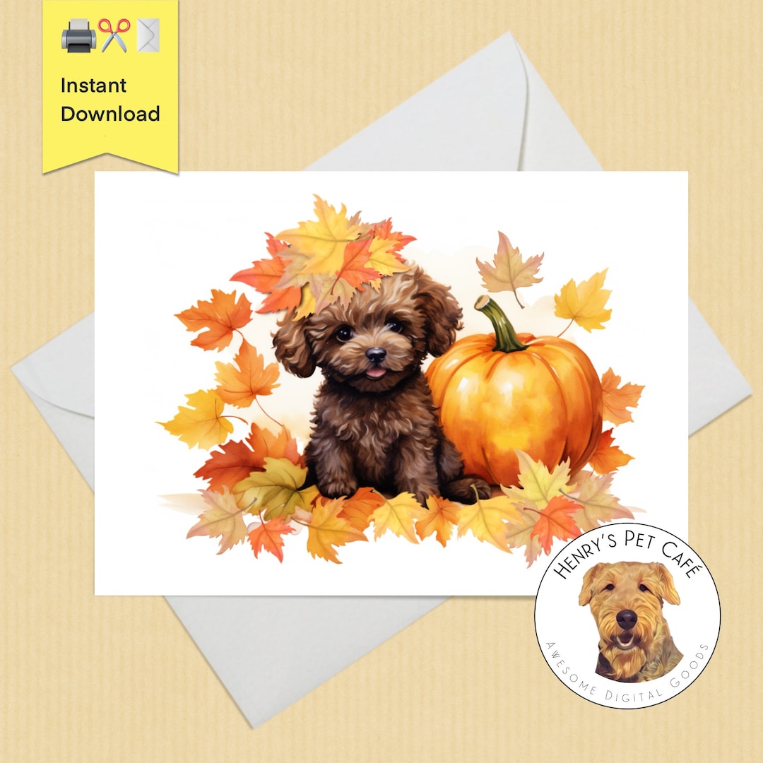 Printable Greeting Card / Toy Poodle Puppy / 5 X 7 Size / Instant ...