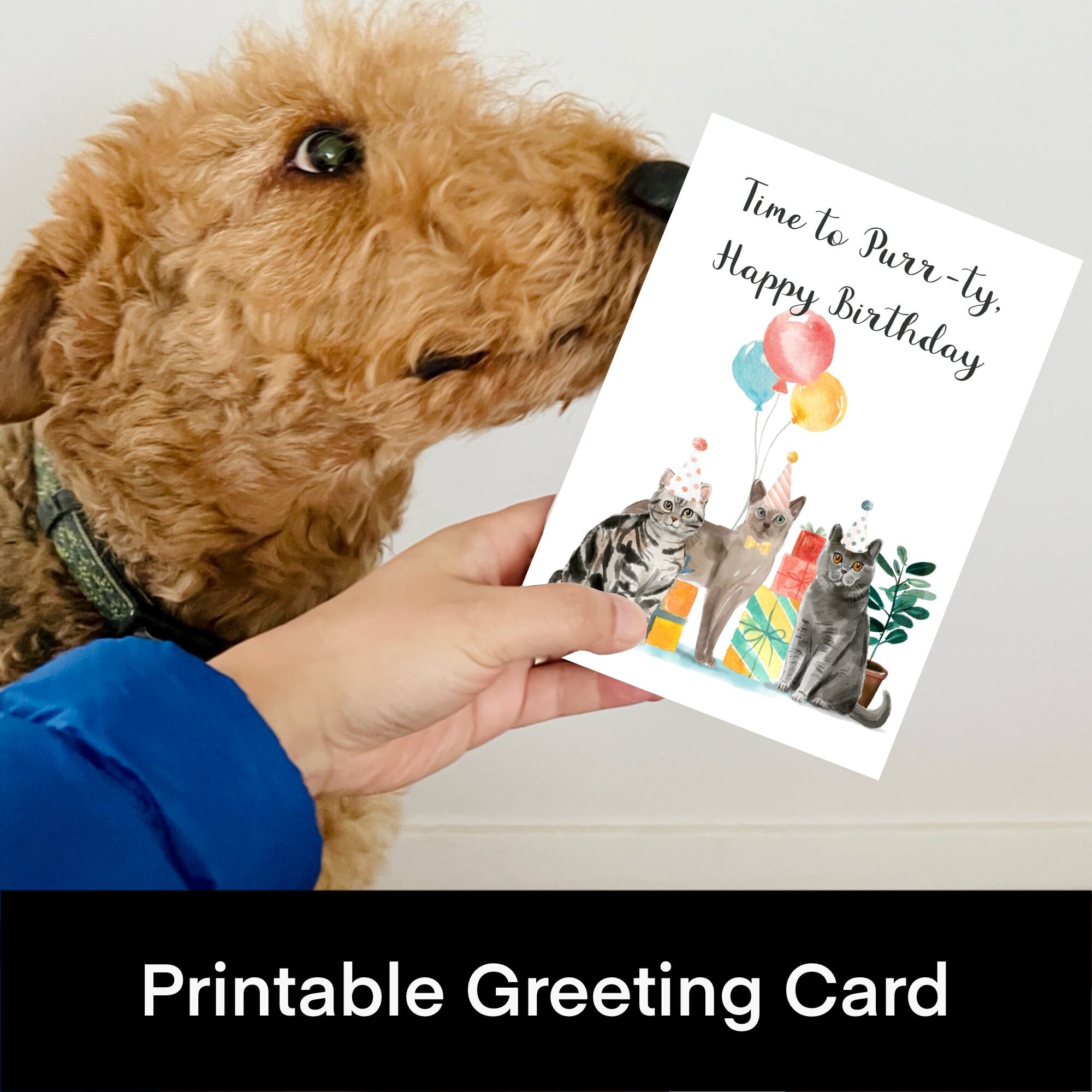 Printable Cat Birthday Card, Funny Purrty Party Birthday Card, Digital ...