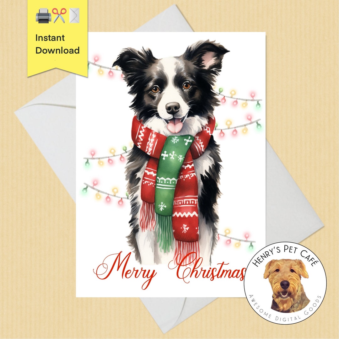 Adorable Border Collie Printable Christmas Dog Greeting Card, Holiday ...