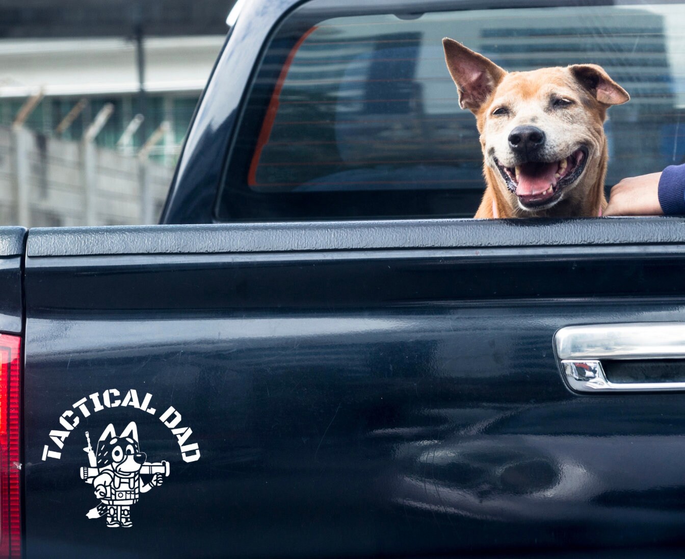 BLUEY CAR DECAL Tactical Dad Bandit Heeler Bluey Dad Gifts for Dad ...