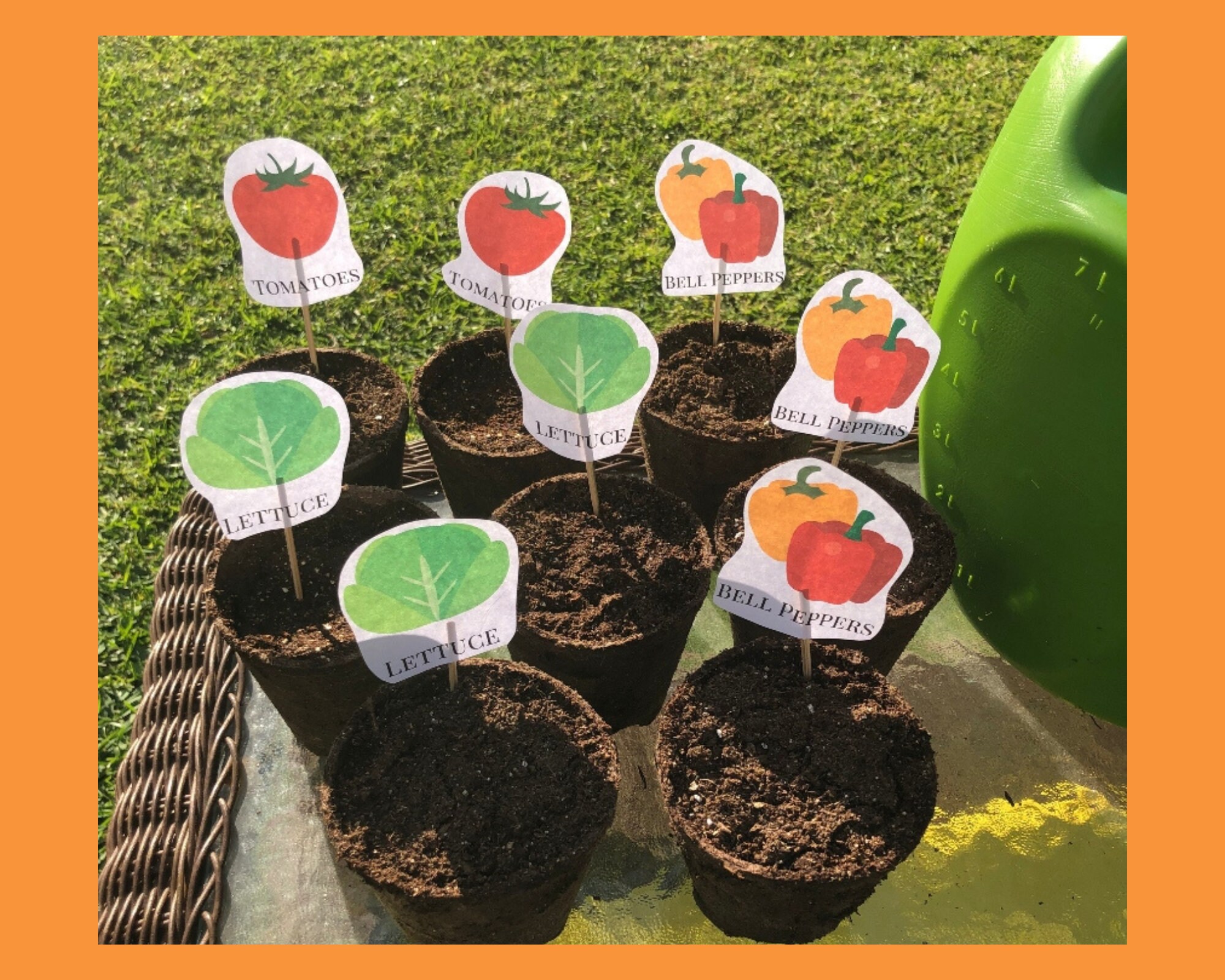 Printable Garden Markers | DIY Garden Markers | Vegetable Garden ...