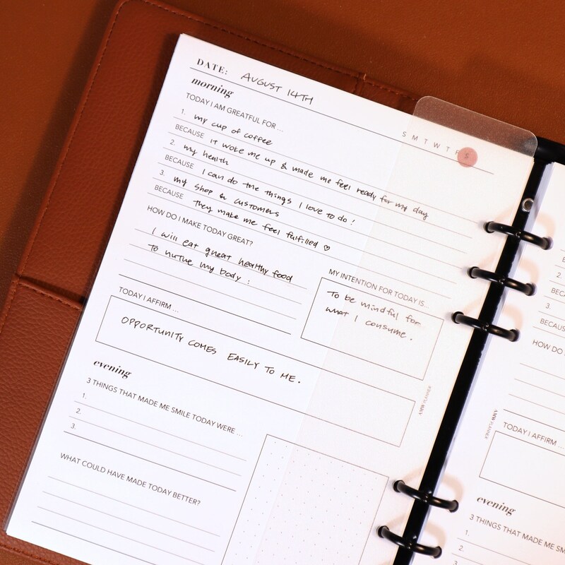 Discbound Planner - Etsy