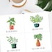 Printable Plant Pun Cards, Beleaf in Yourself, Keep Growing, Leaf Pun ...