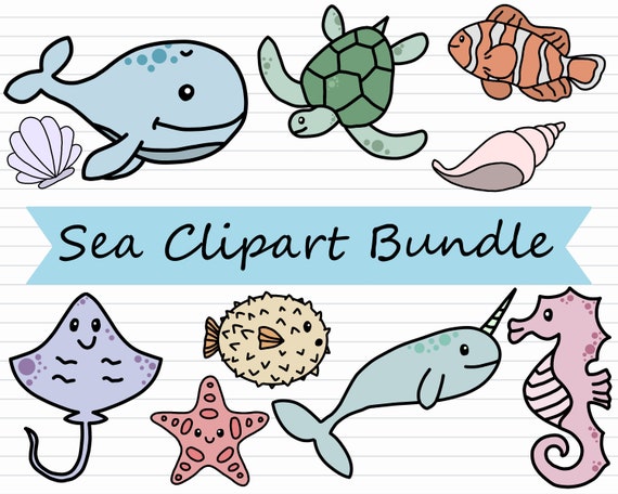 Sea Animal Clipart Bundle Ocean Clip Art Sea Creature PNG - Etsy