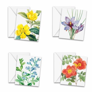 Assorted Vintage Botanical Greeting Cards Set of 25 - Stationery ...
