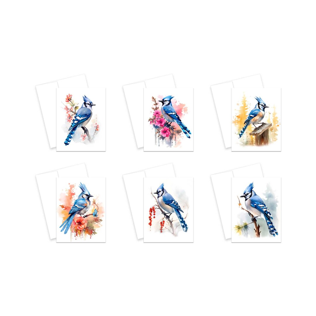 Watercolor Bird Cards, Blue Jay Cards, Assorted Cards, Set of Blank ...
