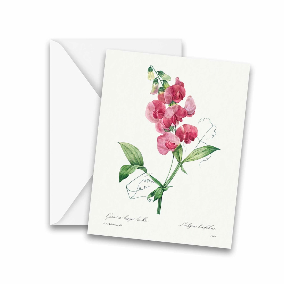 Vintage Botanical Greeting Cards Stationery, Notecards, Thank You Cards ...