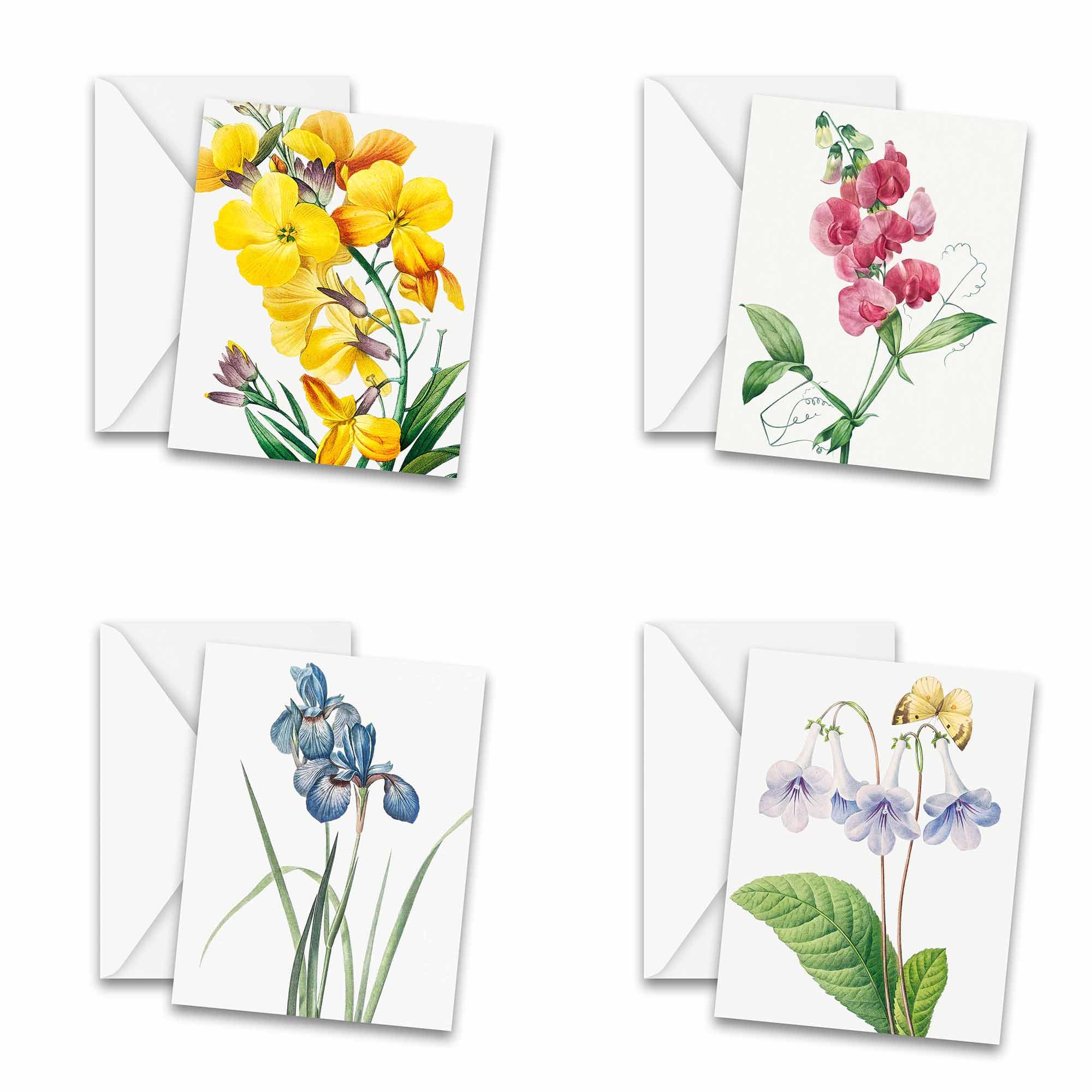 Assorted Vintage Botanical Greeting Cards Set of 25 - Stationery ...