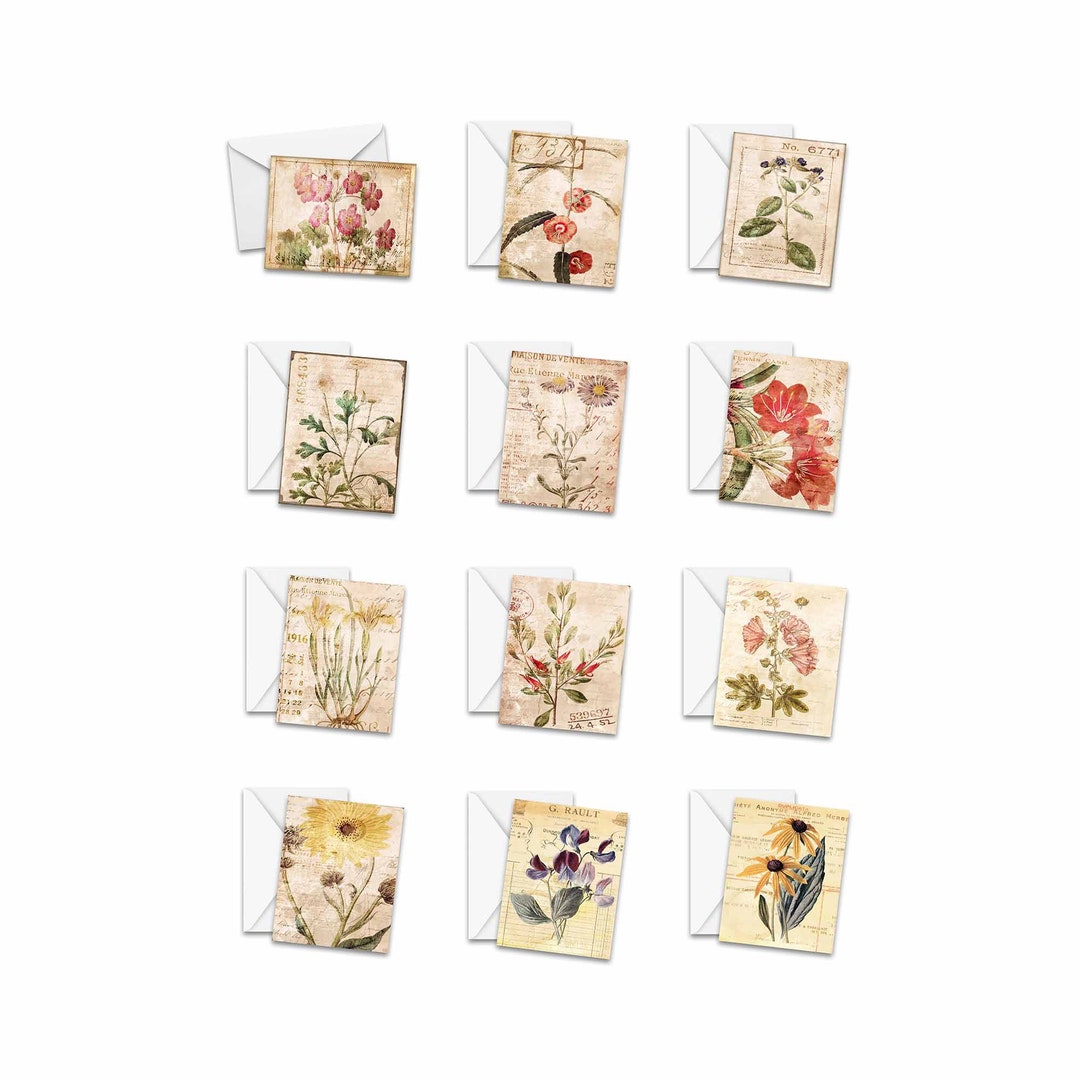 NOTECARDS, Assorted Vintage Botanical Greeting Cards Set, Stationery ...