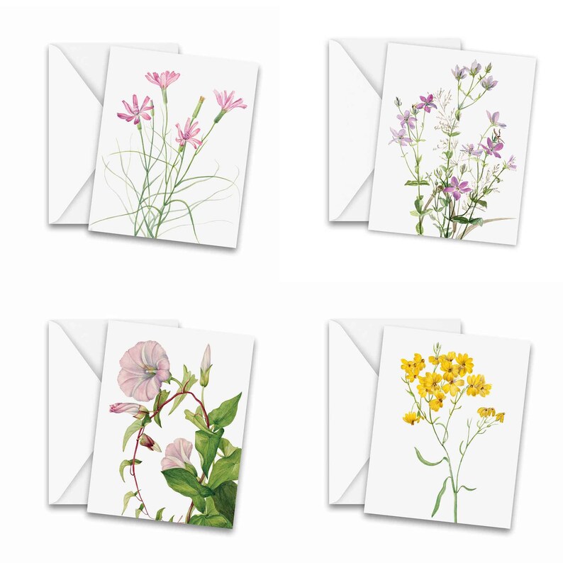 Assorted Vintage Botanical Greeting Cards Set of 25 - Stationery ...