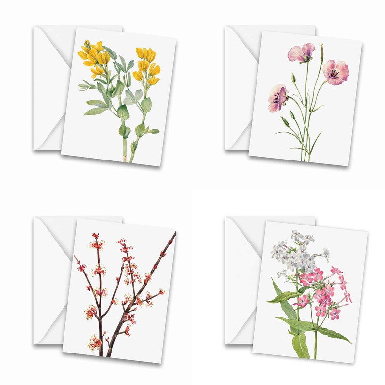 Assorted Vintage Botanical Greeting Cards Set of 25 - Stationery ...