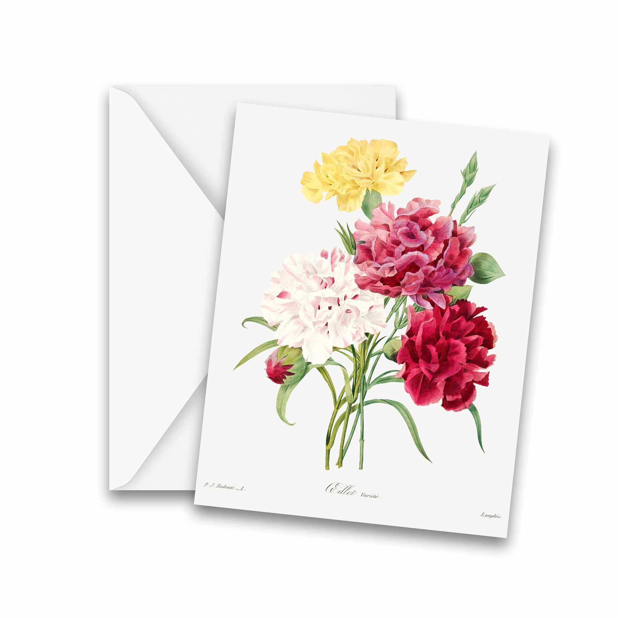 Vintage Botanical Carnation Greeting Cards Stationery, Notecards, Thank ...