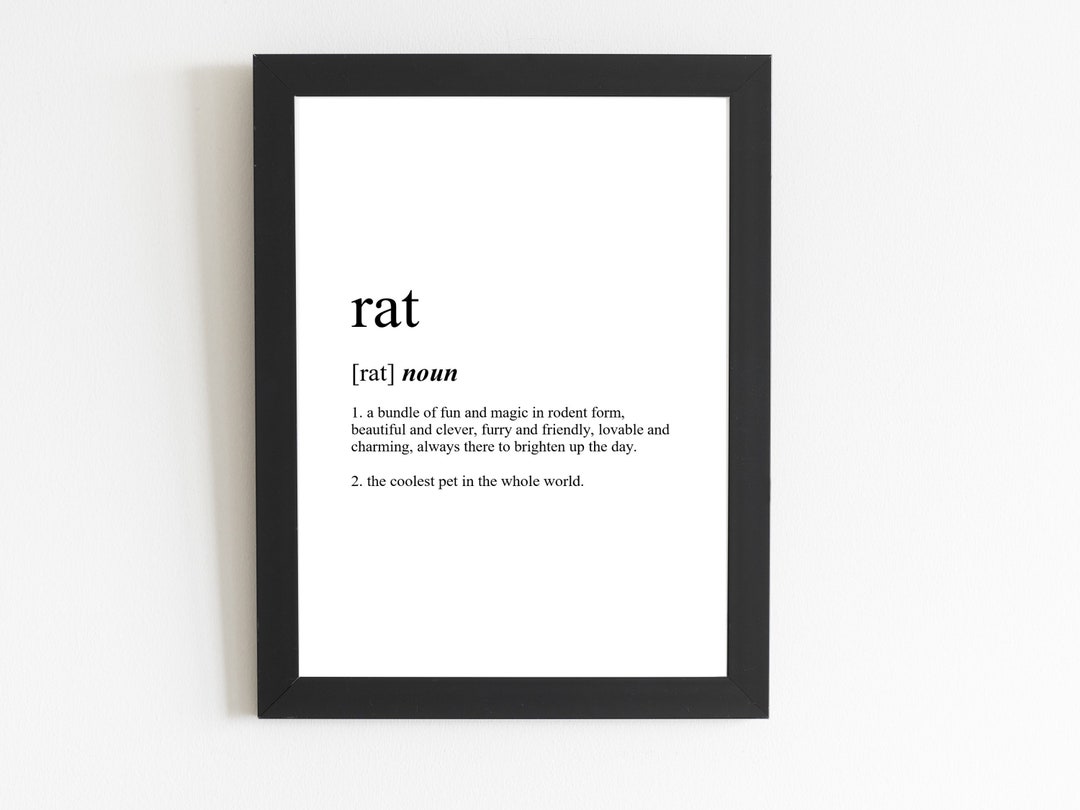 Rat Definition Print / Rat Gift / Rat Present / Rat Décor / Rat Art ...