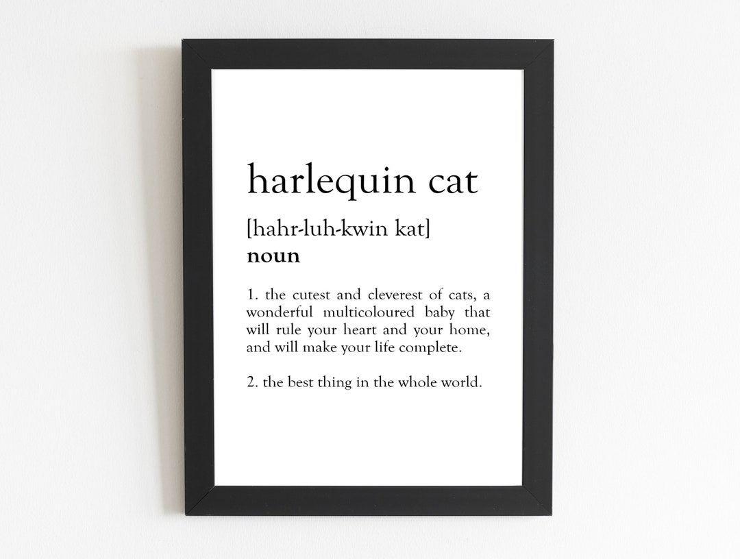 Harlequin Cat Definition Print / Harlequin Cat Gift / Harlequin Cat ...