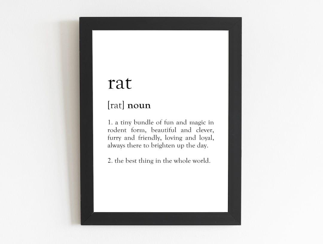 Rat Definition Print / Rat Gift / Rat Present / Rat Décor / Rat Art - Etsy