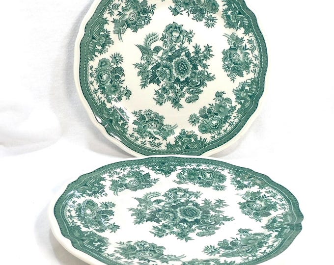 Vintage Villeroy and Boch Pair Salad Plates: Fasan Pattern Green ...