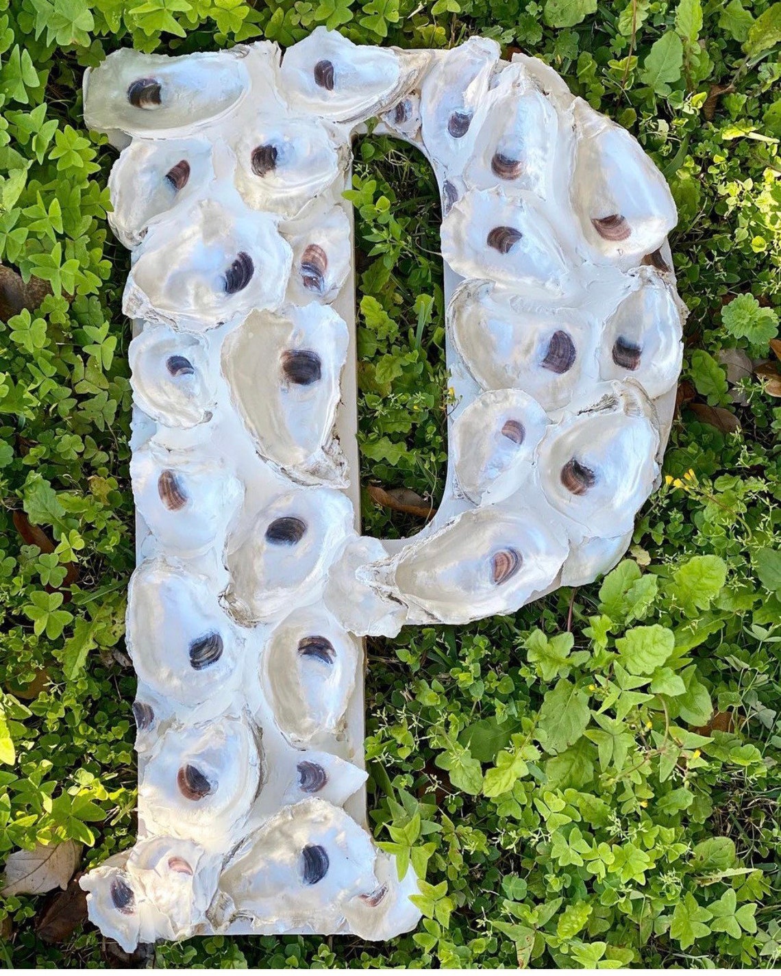 Large Oyster Letter - Etsy