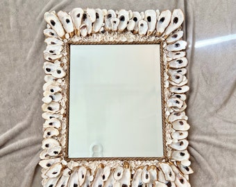 Oyster Shell Mirror - Etsy