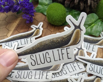 Slug Sticker, Slug Life Sticker, Water Bottle Sticker, Laptop Sticker ...