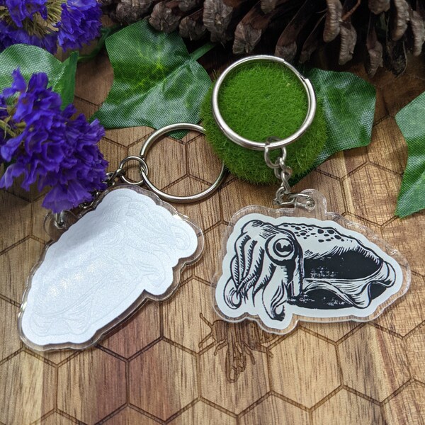 Cuttlefish - Etsy