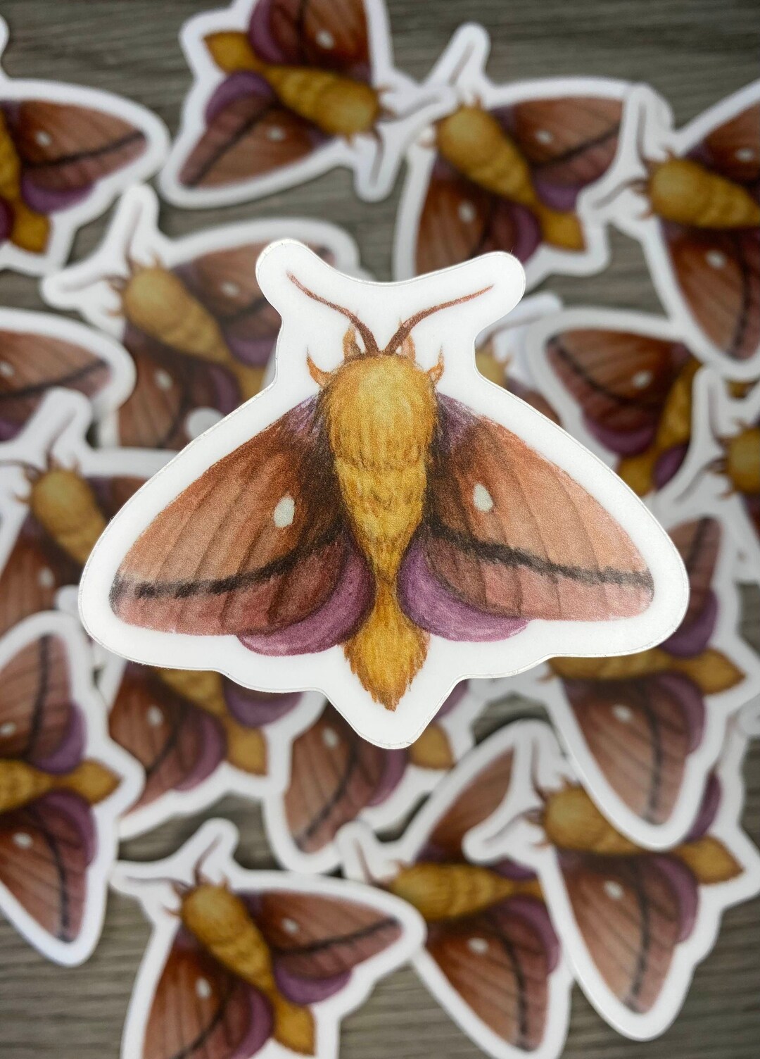 Pink Striped Oakworm Moth Sticker, Pink Moth Sticker, Realistic Moth ...