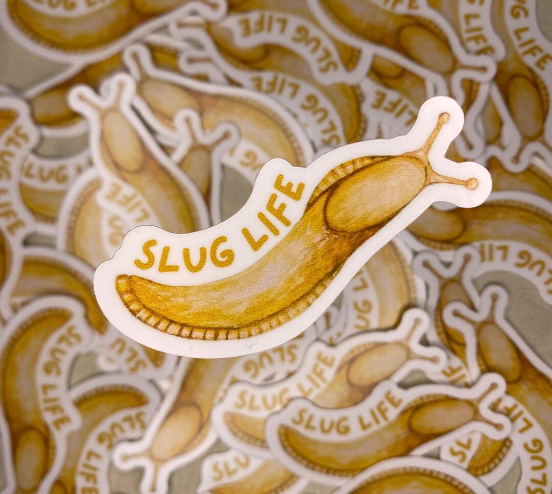 2.5 Inch Banana Slug SLUG LIFE Sticker, Cute Banana Slug Sticker, Vinyl ...