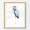 Great Blue Heron Watercolor Art Prints, Set of 3 Heron Birds, Coastal ...