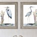 Great Blue Heron Watercolor Art Prints, Set of 2 Heron Birds, Coastal ...