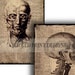 Skull Art Print, Vintage Dictionary Skull Print, Anatomy Art, Skull ...