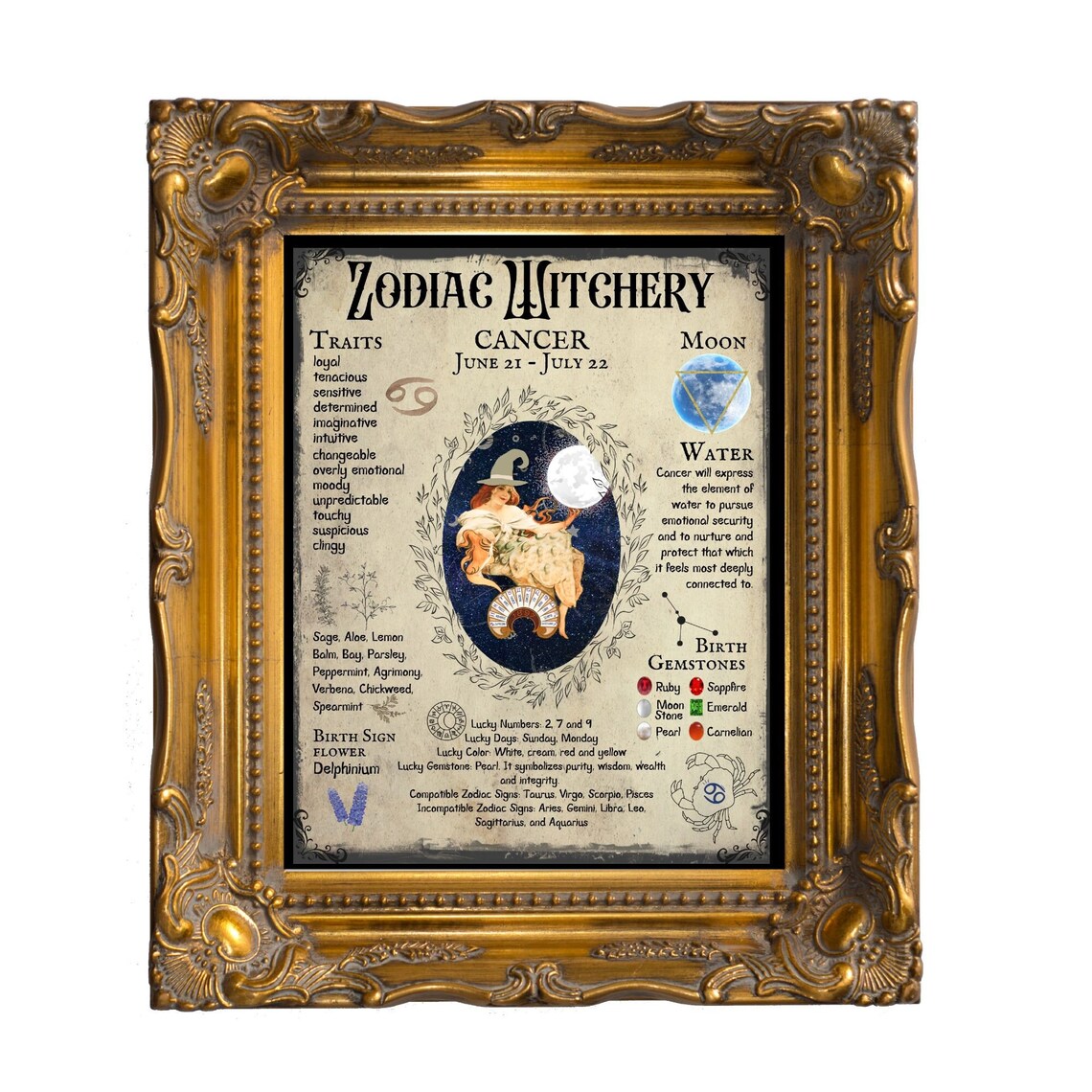 Zodiac Witchery Poster, Witches Poster, Witch Art, Witches Magic ...