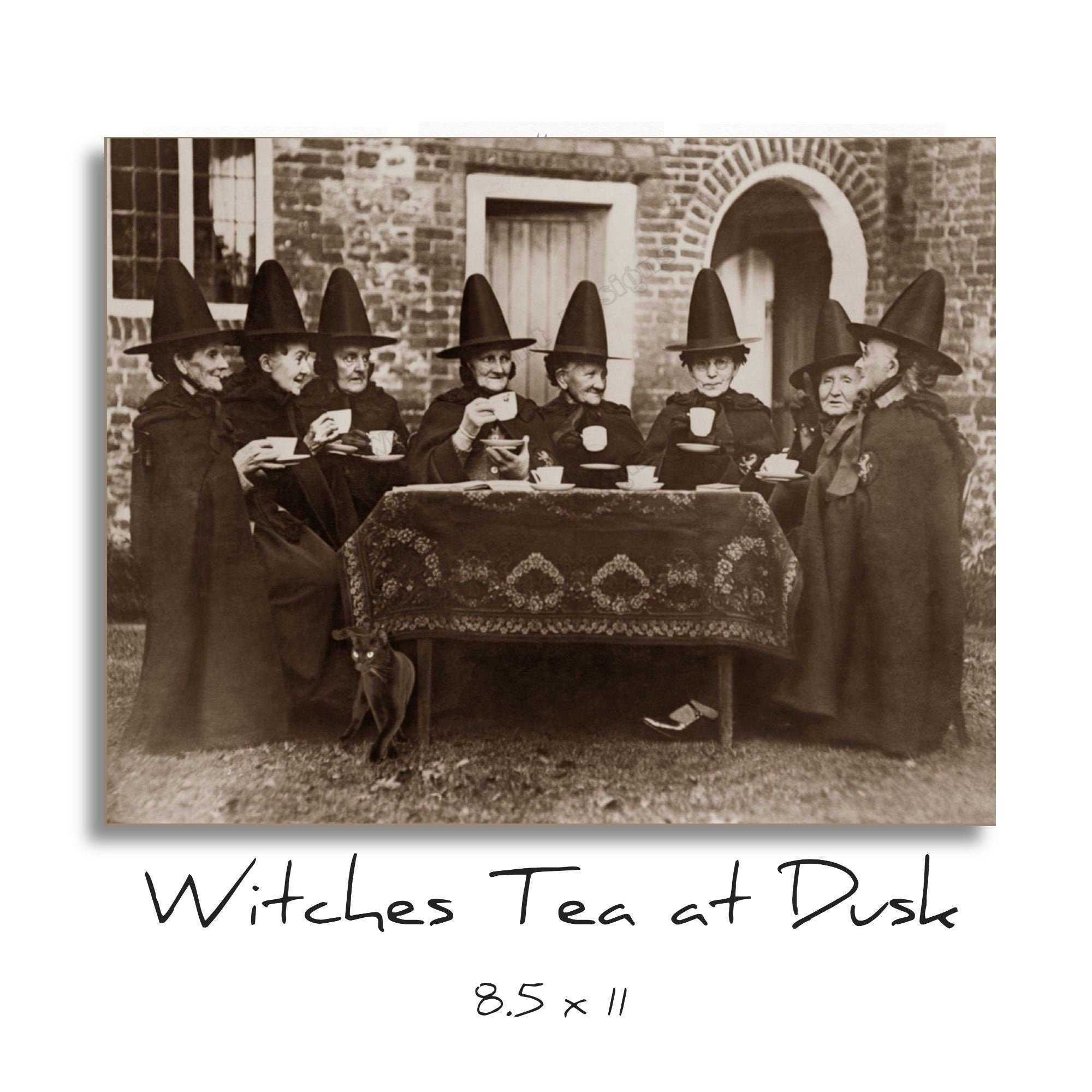 Witches Tea Party at Dusk VINTAGE Photo Antique Witches | Etsy