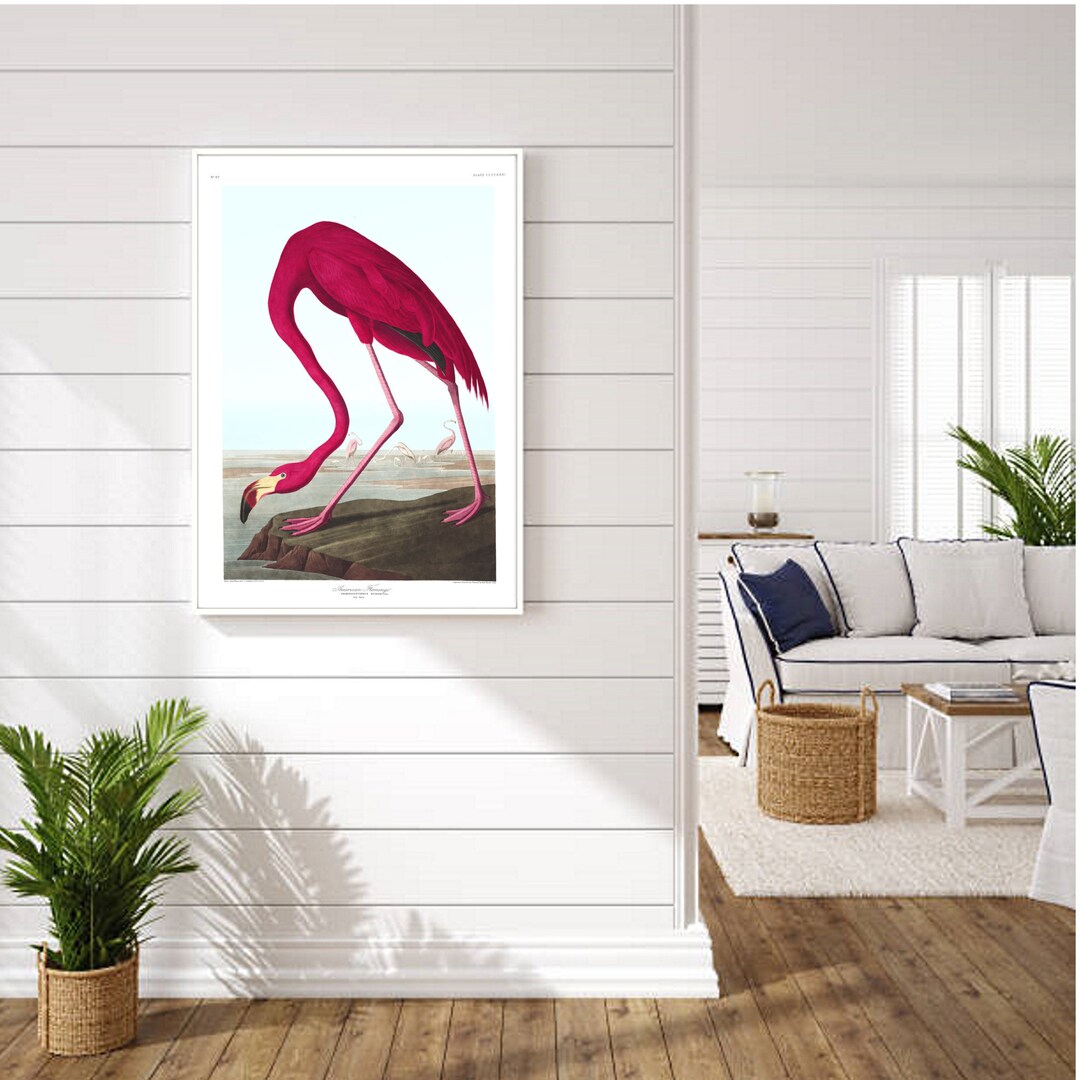 Flamingo Coastal Beach Art, Flamingo Digital Download, Vintage Bird ...