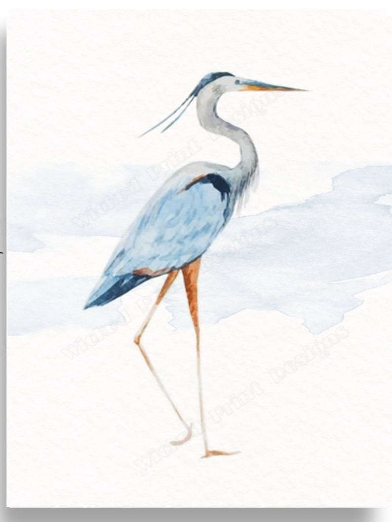 Great Blue Heron Watercolor Art Print, Coastal Decor, Tropical Wall Art ...