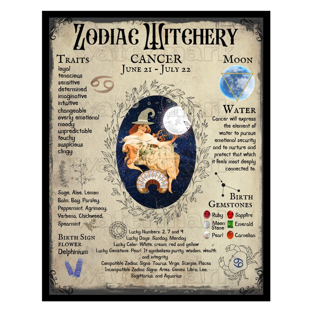 Zodiac Witchery Poster, Witches Poster, Witch Art, Witches Magic ...